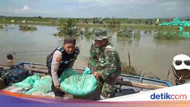 TNI/Polri, BPBD dan Petani Perbaiki Tanggul Kali Ingas Bojonegoro yang Jebol