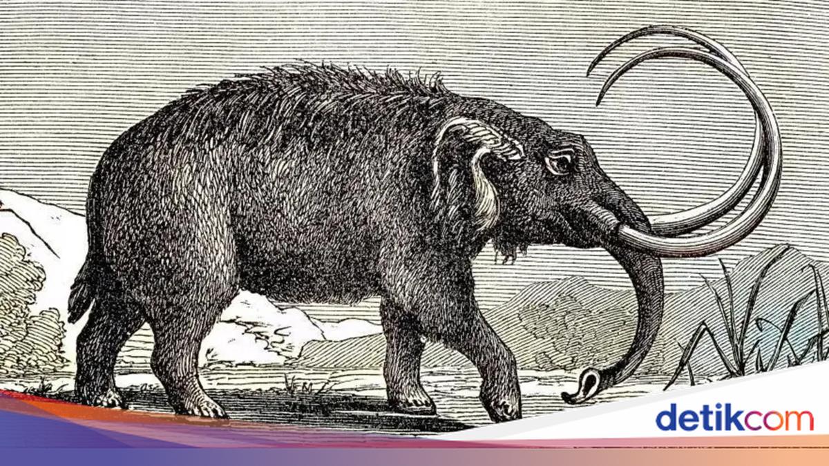 Seorang Warga Tak Sengaja Menemukan Fosil Purba di Rumahnya, Ternyata ...
