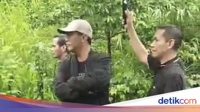 Mentan Amran Sulaiman Terjebak Macet Poros Maros-Bone di Camba gegara ...