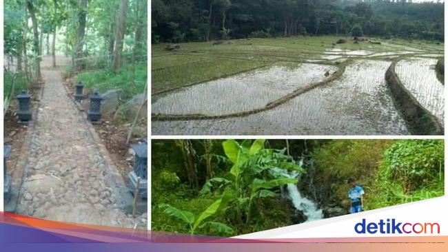 Jangan Lewatkan Liburan Nataru Wisata Grape Madiun di Lereng Gunung Wilis