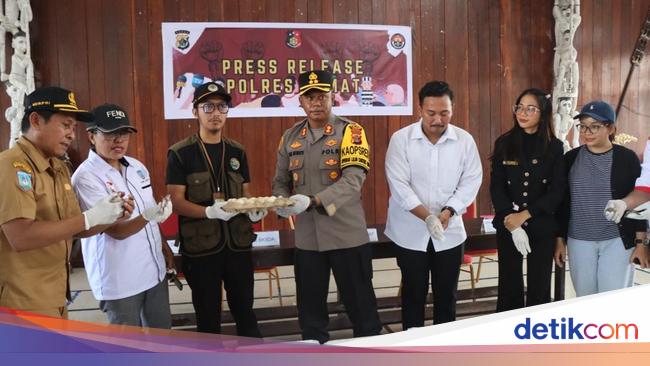 Polisi Ungkap Perdagangan Ilegal 3.194 Ekor Labi-Labi Moncong Babi di Asmat