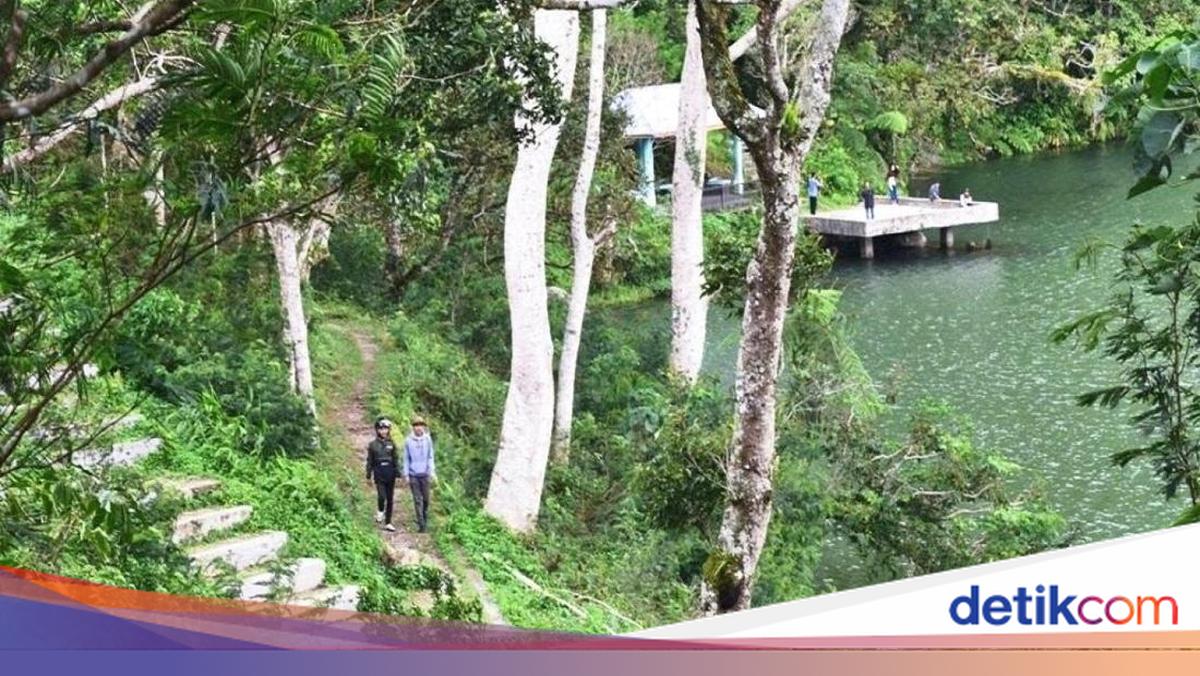 Keindahan Danau Rana Mese, Surga Tersembunyi di Hutan Manggarai Timur