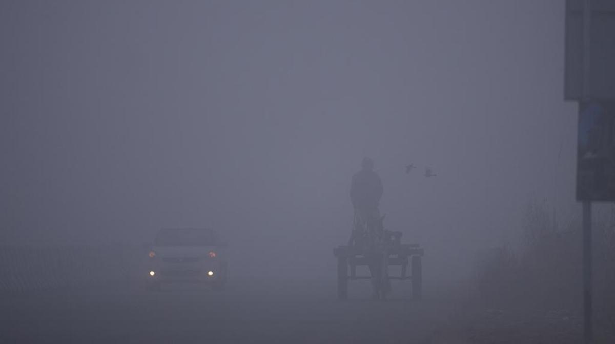India Catat Rekor Suhu Terpanas di 2024, Ini Dugaan Pemicunya