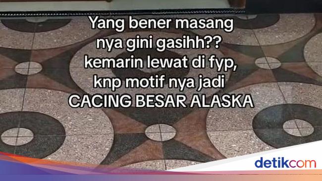 Viral Salah Pasang Keramik Jadi Cacing Besar Alaska, Ternyata Ini yang ...