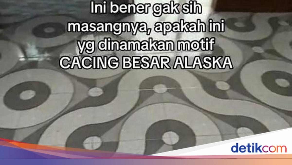 Kemarin Viral Keramik Ular Kadut, Kini Giliran Cacing Besar Alaska