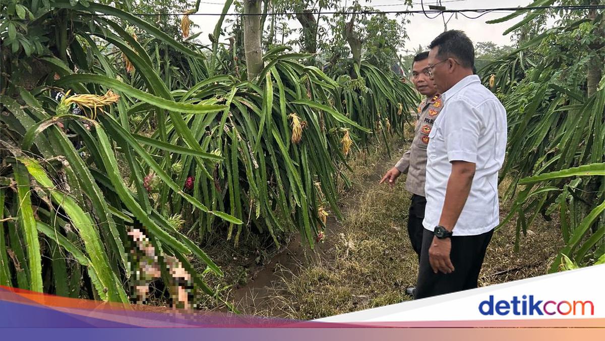 Miras Jadi Petaka Remaja di Banyuwangi Dianiaya hingga Tewas