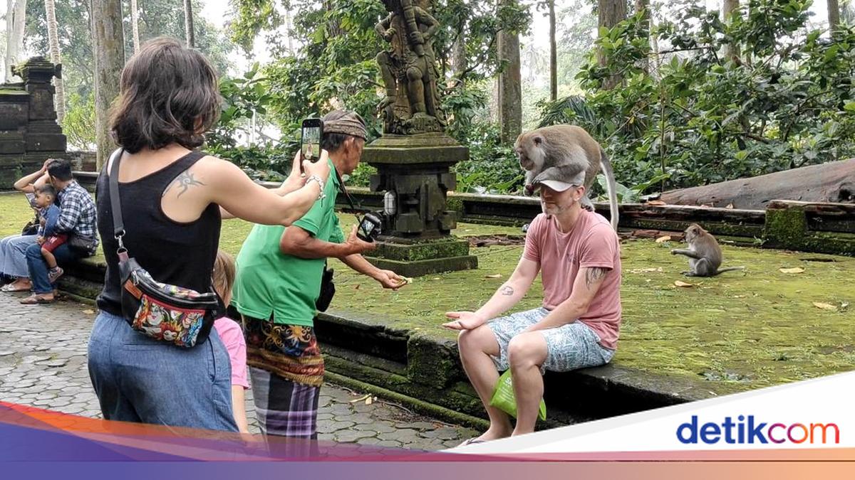 Wisatawan Ramaikan Sangeh Monkey Forest Saat Tahun Baru