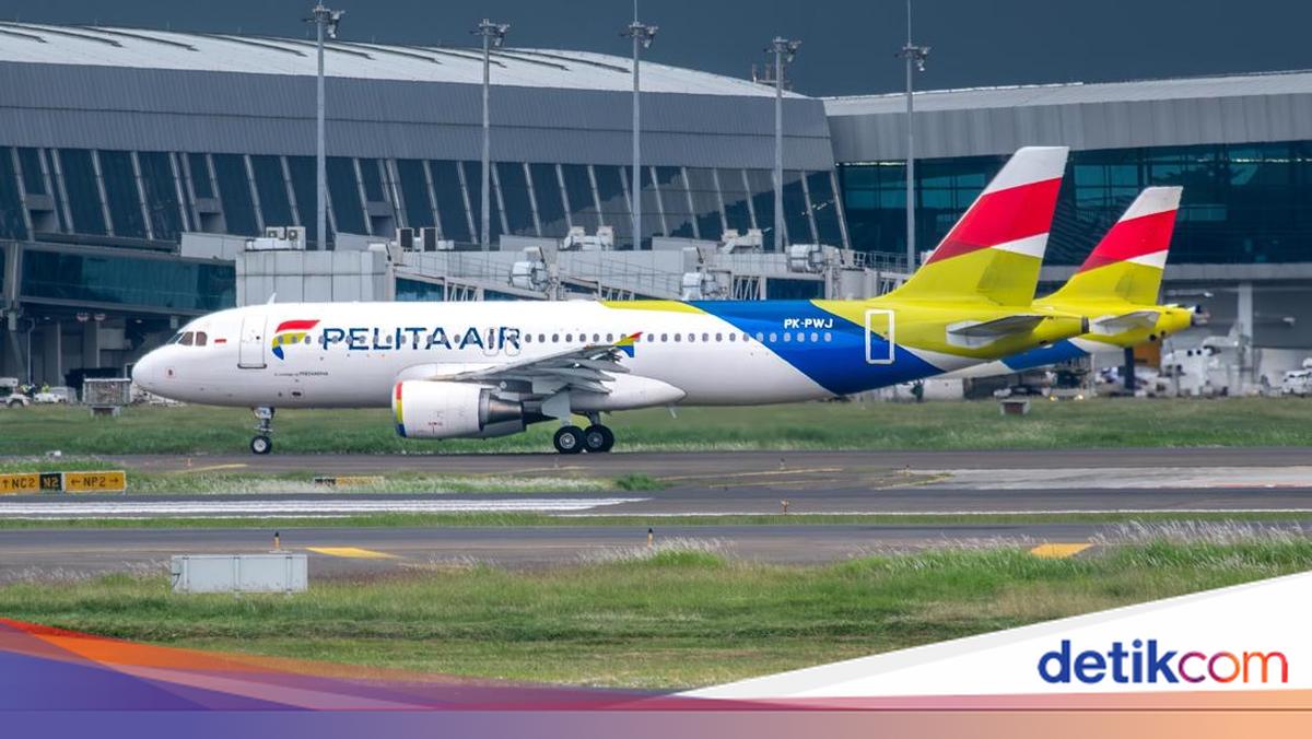 Pelita Air Buka Suara soal Rencana Merger dengan Garuda