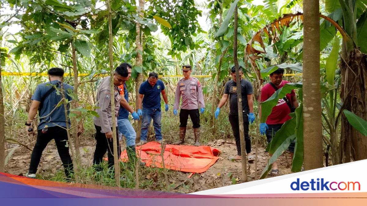 Heboh! Warga Pandeglang Temukan Tulang Belulang Manusia di Kebun