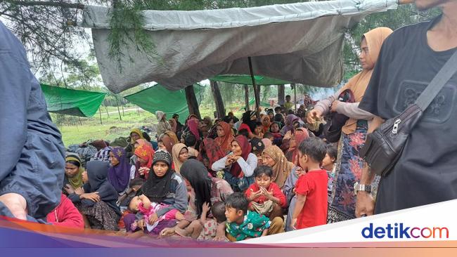Ditolak Malaysia, 264 Warga Rohingya Mendarat di Aceh Timur