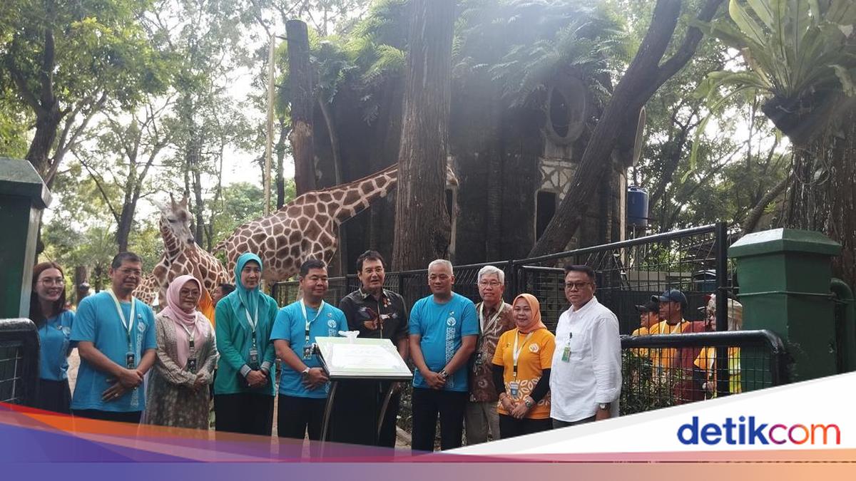 Pj Gubernur Beri Nama Bayi Jerapah di Ragunan 'Rajaka', Ini Artinya