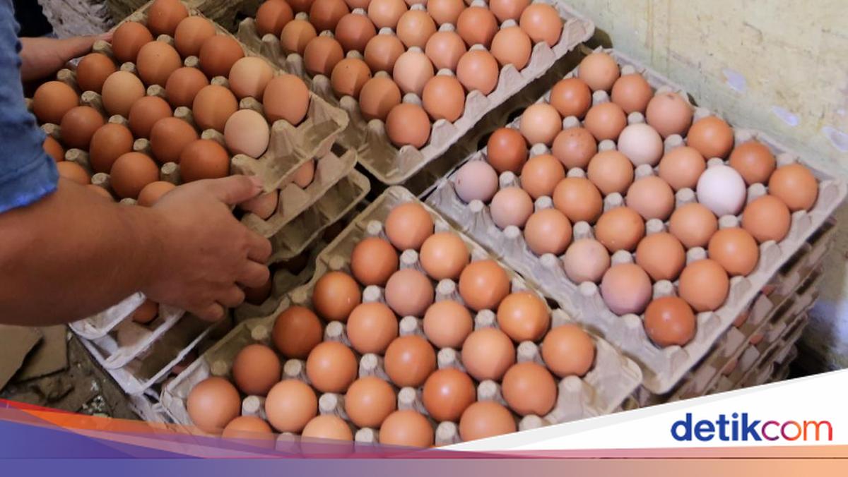 Harga Sembako Jogja Hari Ini 6 Januari 2026: Telur dan Daging Ayam ...