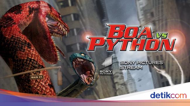 Sinopsis Film Boa Vs Python, Ketegangan di Antara Dua Predator Mematikan