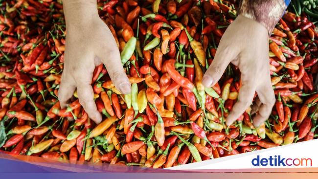 Kementan Klaim Pasokan Cabai Normal, Harga Segera Turun