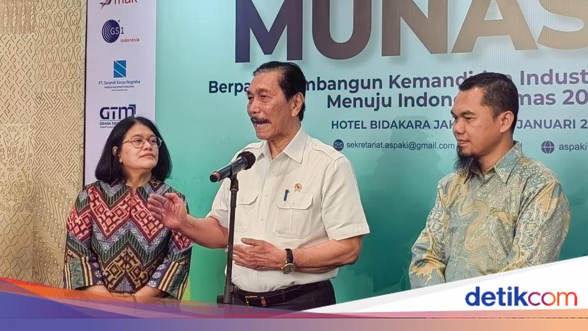 Peringatan Keras Luhut ke Pejabat Tak Pro Produk RI: Kita Hajar Ramai ...