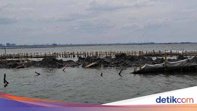 DKP Jabar soal Temuan Pagar Laut di Bekasi: Beda dengan Tangerang