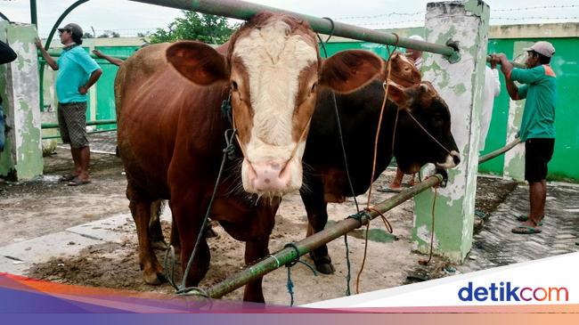 Pasar Hewan Bojonegoro Sepi Imbas Wabah PMK