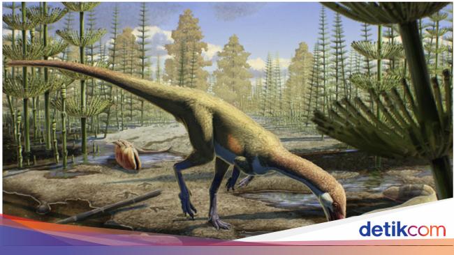 Chicken-Sized Dinosaur Reveals New Facts, Changes Existing History ...