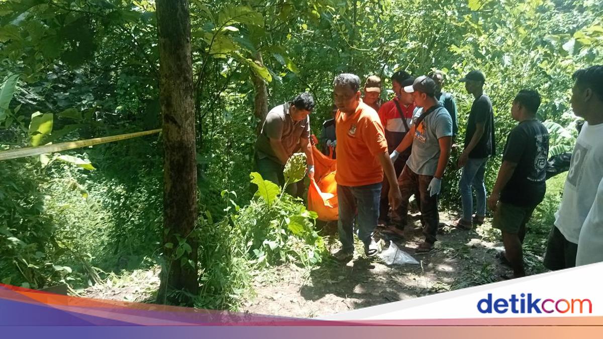 Misteri Tewasnya Pria Berjaket Hitam di Hutan dan Siapa Pembunuhnya