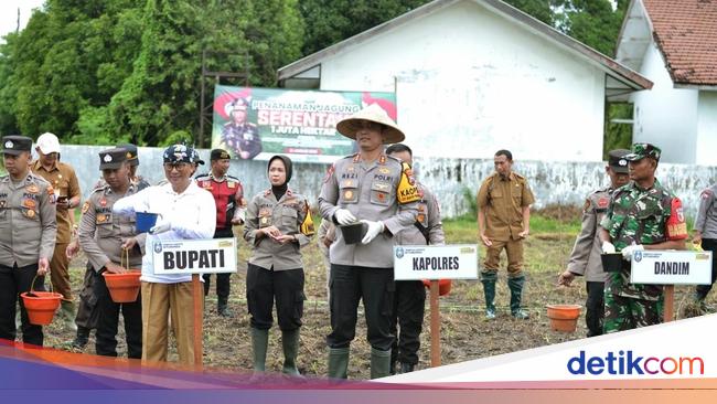 Dukung Swasembada Pangan, Polres Situbondo Tanam Jagung Serentak