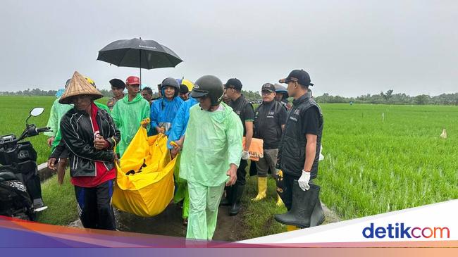 Wanita Mayatnya di Pinggir Sawah Gowa Tewas Dibunuh Pacar dengan 79 Tikaman