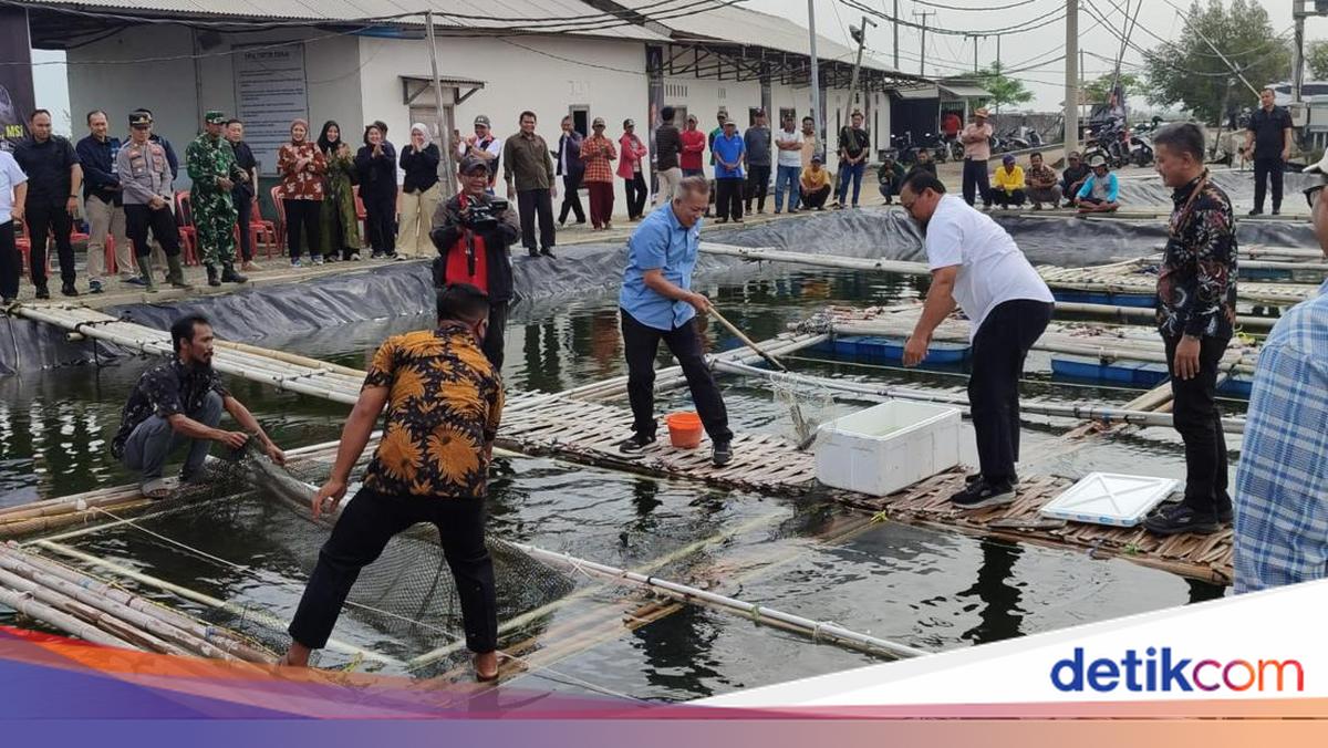 Koperasi Nelayan Didorong Geber Produksi Biar Makin Berkembang