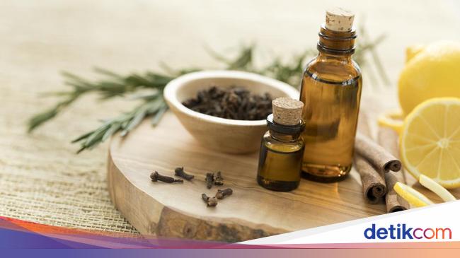 10 Bahan Alami Ampuh Basmi Gigitan Nyamuk di Rumah dan Cara Menggunakannya