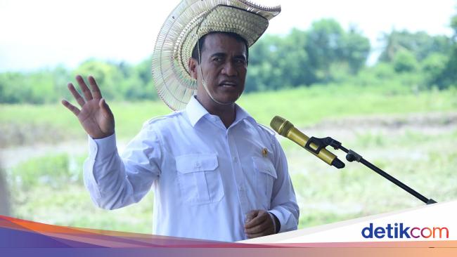 Mentan Klaim Harga Beras Dunia Turun karena Stok Indonesia Berlimpah