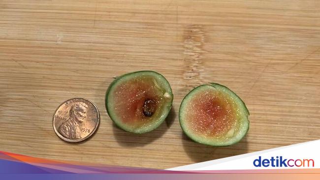 10 Potret Sayur dan Buah Gagal Tanam yang Viral di Media Sosial