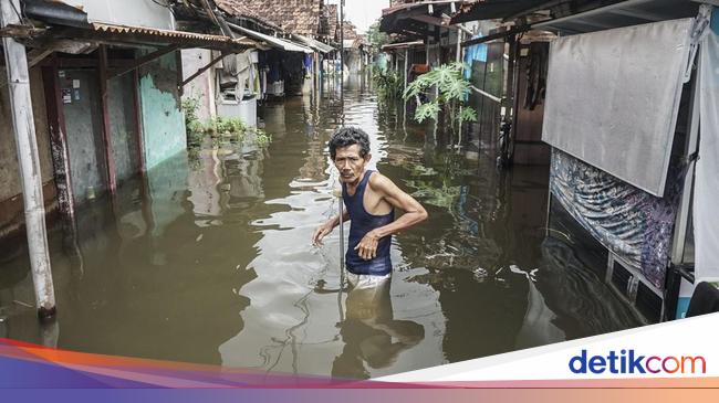 Banjir Setinggi Paha Rendam Permukiman di Pekalongan