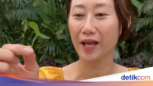 Gina Kimbab Family Cicip Daun Piduh yang Bisa Bikin Kulit 'Glowing'
