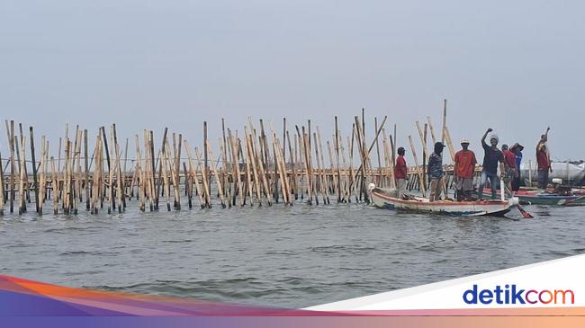 Penampakan Pagar Laut Bekasi 581 Hektare!