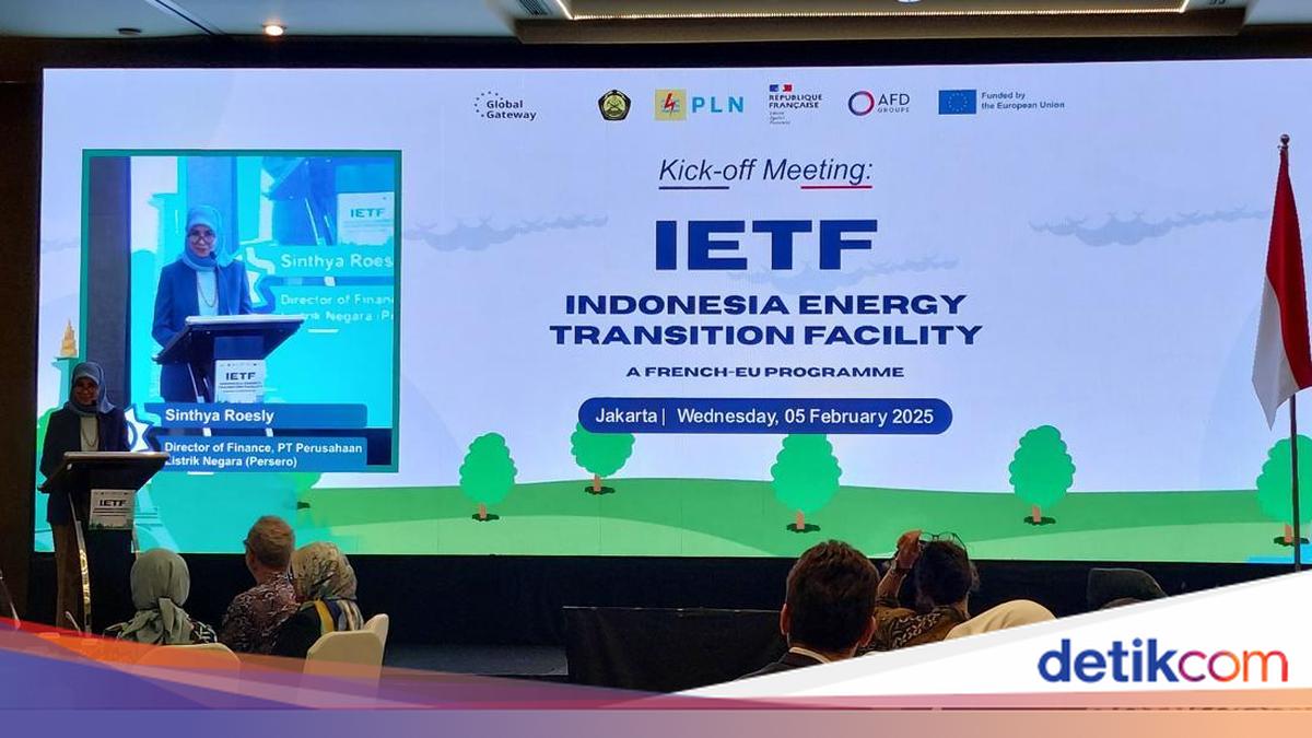 RI Dapat Hibah Rp 248 M dari Uni Eropa dan Prancis buat Geber Transisi ...