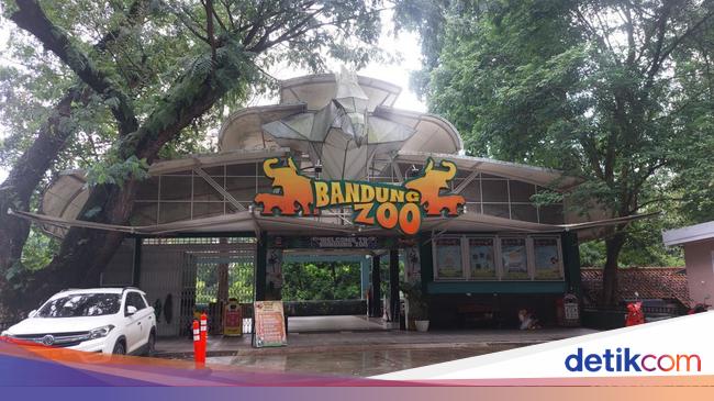 Pemkot Bandung Cari Pengganti Pengelola Bandung Zoo
