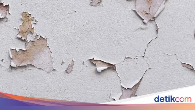 Cat Dinding Lembap dan Mengelupas? Ini Penyebab dan Cara Perbaikinya
