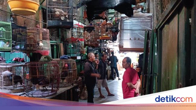 Kicauan Jadi Cuan, Pedagang Raup Puluhan Juta di Pasar Burung Pramuka