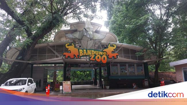 5 Tempat Wisata Hewan Ramah Anak di Bandung Beserta Harga Tiketnya