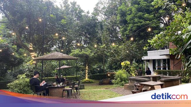 Rene Cafe: Asrinya Kafe Nuansa Puncak yang 'Tersembunyi' di Jakarta Timur