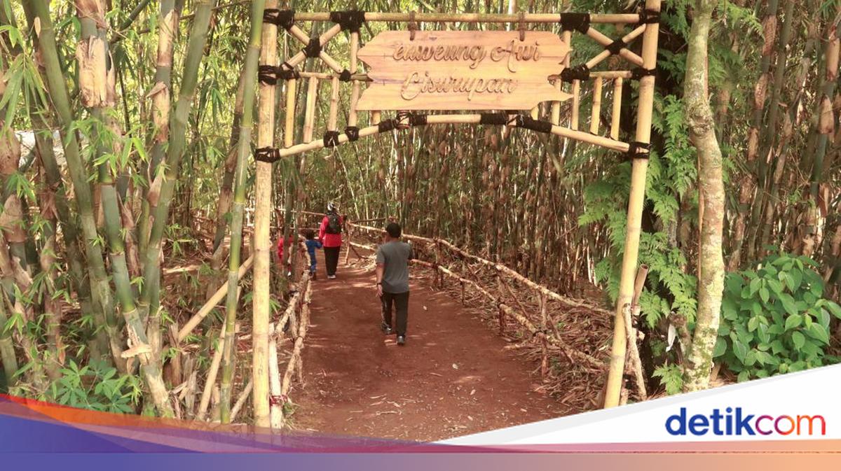 Bukit Mbah Garut, Lokasi Influencer Malaysia Buat Konten Hilang di Hutan