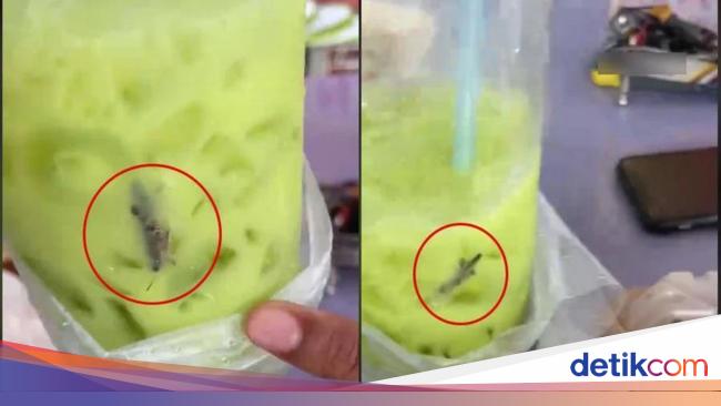 Beli Minuman Green Tea, Pelanggan Ini Dapet 'Bonus' Belalang