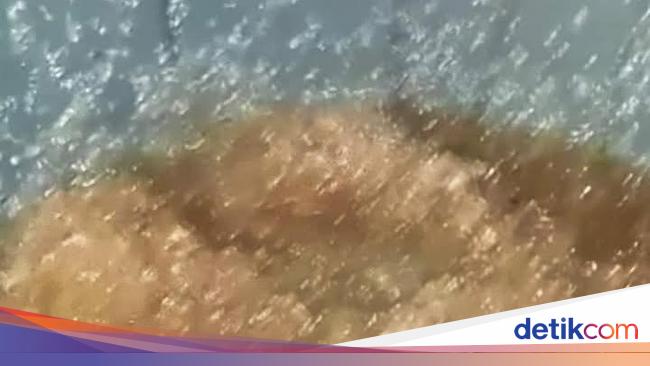Aneh Tapi Nyata! Hujan Jeli Terjadi di Gorontalo Utara