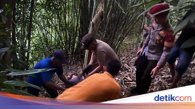 Penjual Tempe di Lubuklinggau Gantung Diri di Pohon, Ini Dugaan Penyebabnya