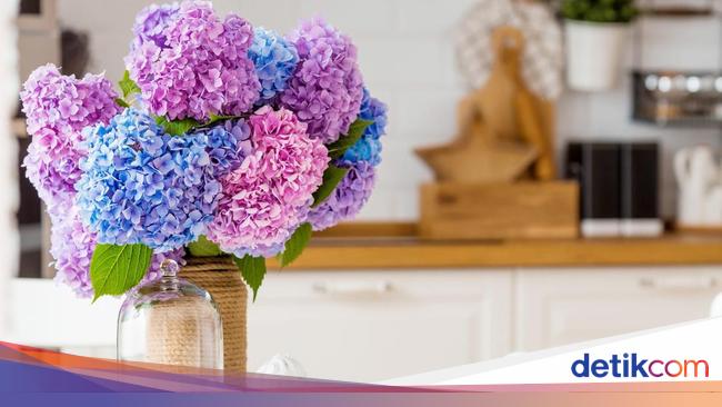 Posisi Bunga Hias yang Pas di Rumah, Bisa Usir Serangga!