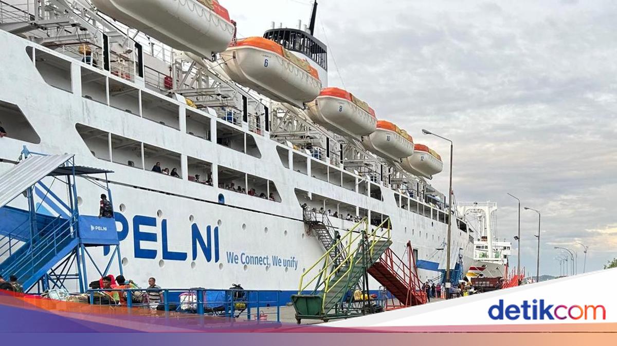 Jadwal Kapal PELNI Balikpapan Juni 2025: KM Lambelu Kembali Berlayar