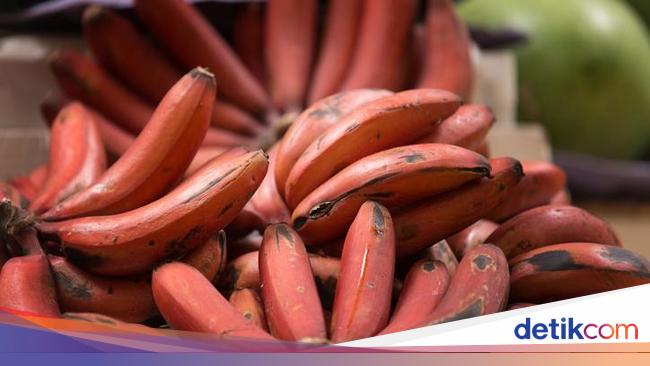 Ramai Dibahas, Ini 5 Fakta Pisang Merah Menarik