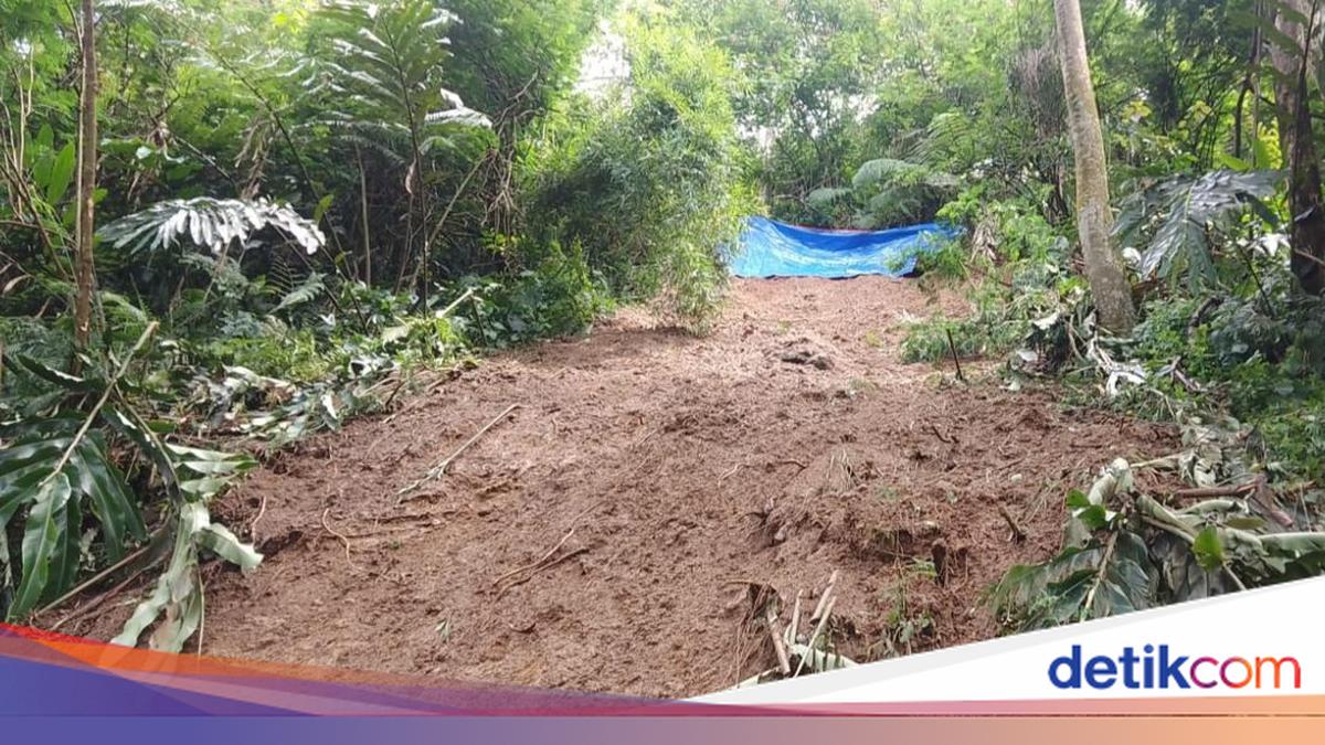 Tebing 35 Meter di Puncak Bogor Longsor, Sempat Tutup Jalan Raya