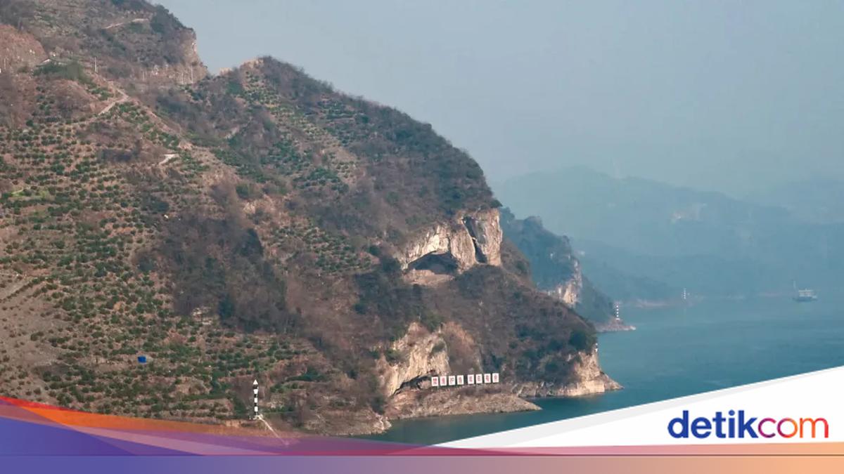 Viral Gunung Menyerupai Anak Anjing di China