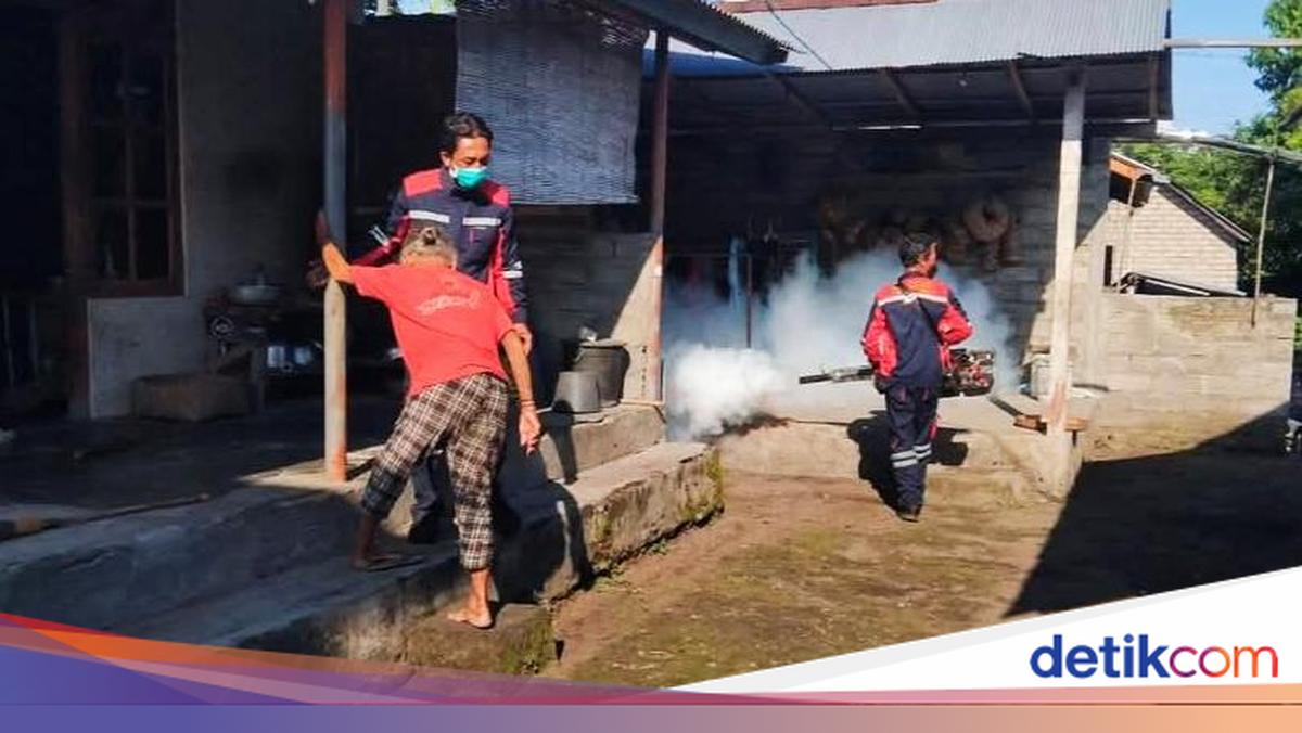 DBD di Karangasem Melonjak Jadi 258 Kasus, 25 Pasien Masih Dirawat
