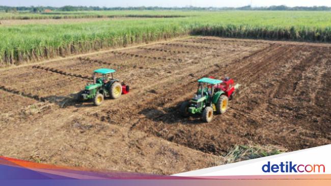 Kolaborasi Pemerintah-Stakeholder Kejar Target Swasembada Pangan Nasional