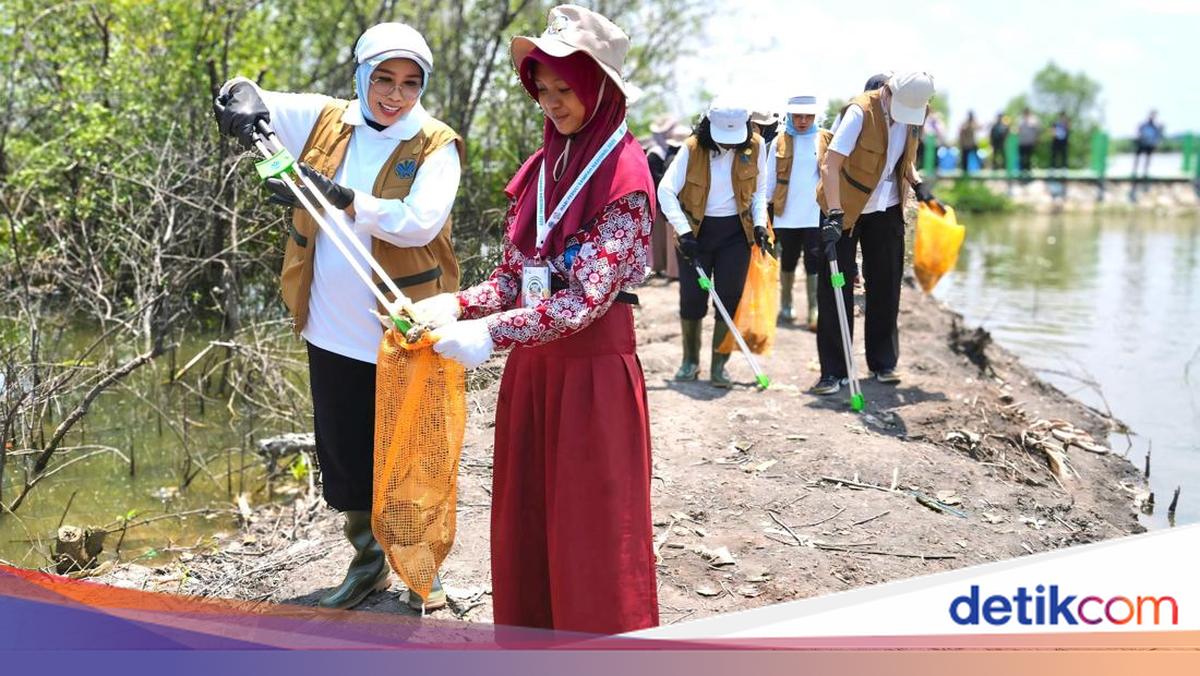 Aktif Berkegiatan Sosial, Istri Mensos Ikut Aksi Bersih Mangrove